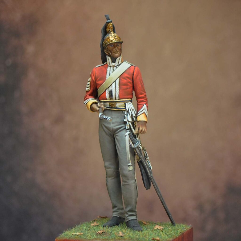 Regimental Sergeant Major. 6th (Inniskilling) Dragoons, 1815 | Art Girona